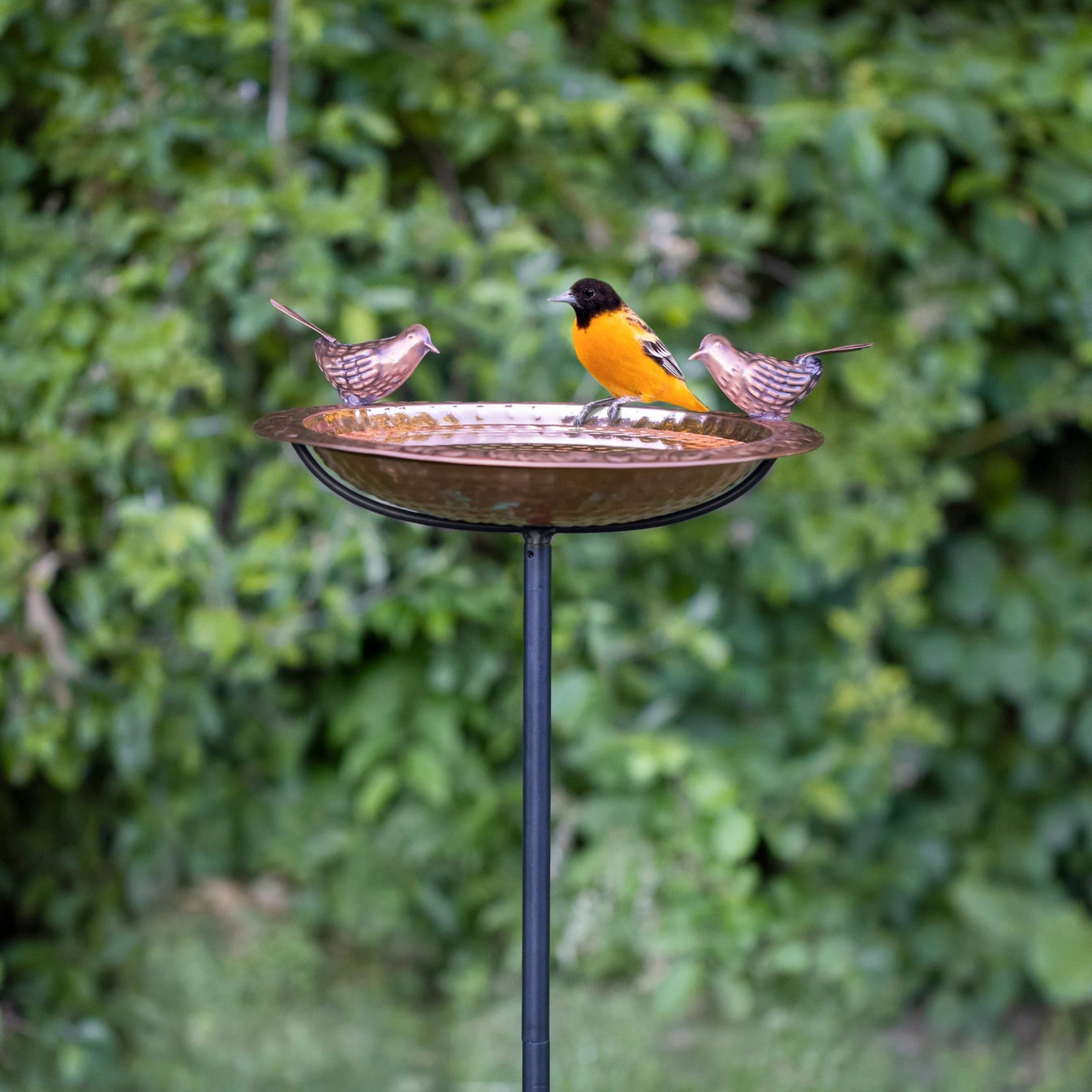 13.5“ Bird Bath with Copper Birds and Garden Pole – Good Directions
